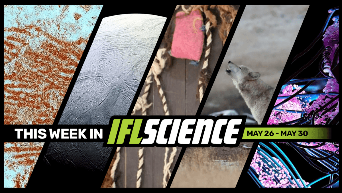 A Neanderthal Fingerprint Left On A Rock, Bioacoustics Could Give Us “A ...