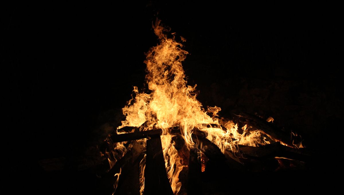 Why Did Humans Start Using Fire? New Theory Suggests It Wasn't To Cook ...