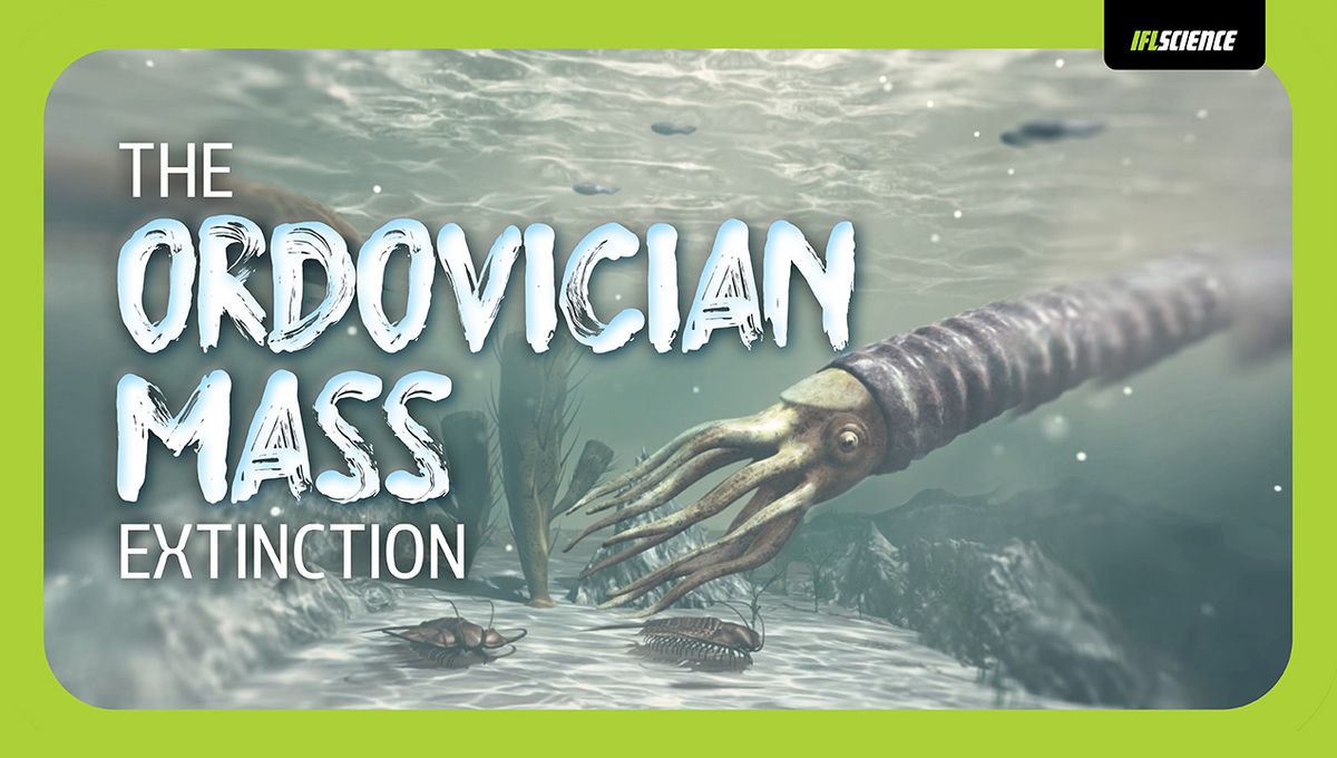 The Ordovician Mass Extinction | Video | IFLScience