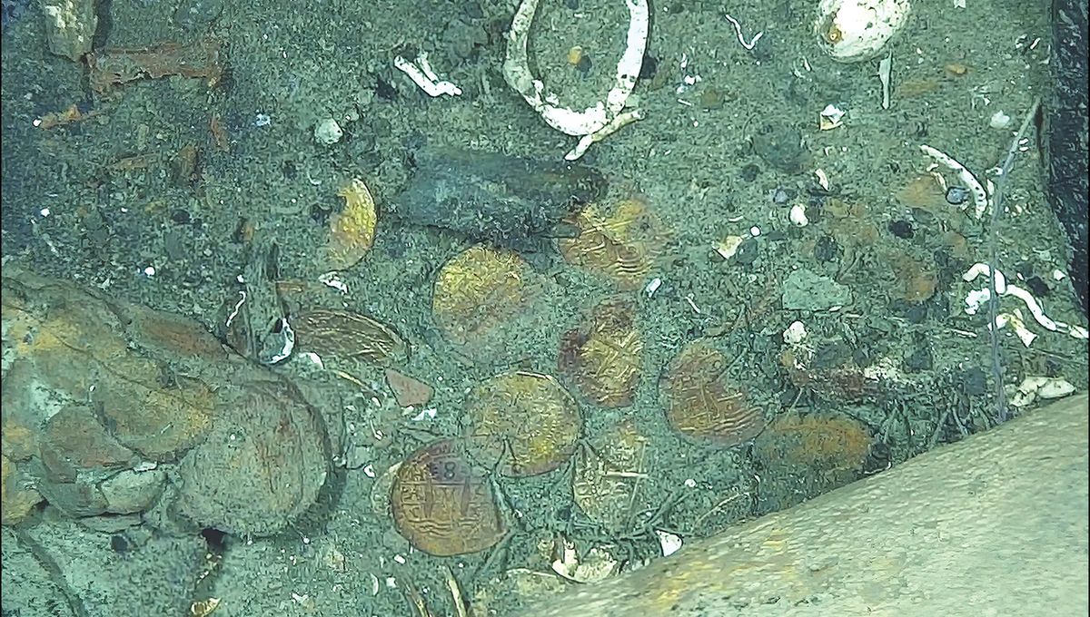 The San José Shipwreck: Gold Coins On Seabed Confirm Identity Of The ...