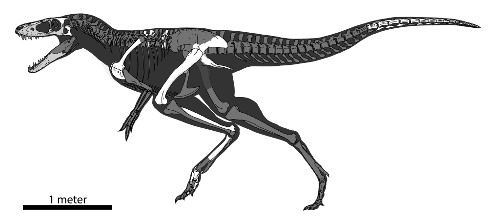 “We Had An Astonishing Result”: New Dinosaur Species Reveals Surprising ...