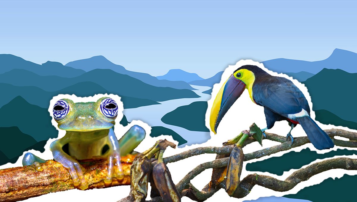 Granting Legal "Personhood' To Nature: Do Rights Of Nature Actually ...