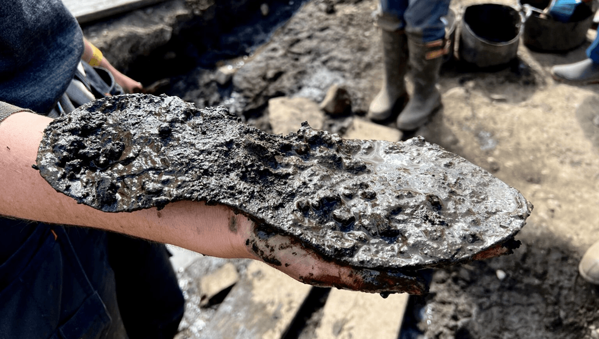 A Roman Soldier Stationed At Hadrian's Wall 2,000 Years Ago Had Massive ...