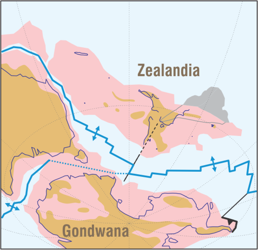 Welcome To Zealandia: Earth’s “Missing” Eighth Continent Is Also Its ...