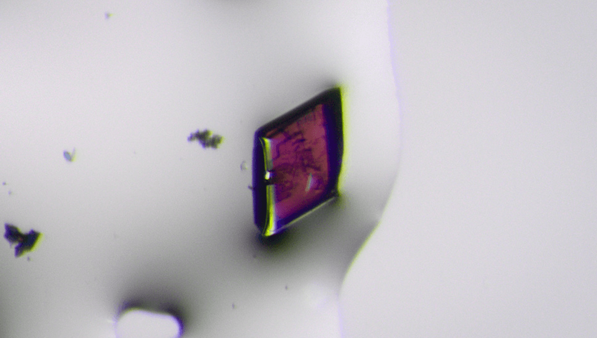 Defying Logic: Symmetrical Crystals Can Interact With Light Asymmetrically | IFLScience