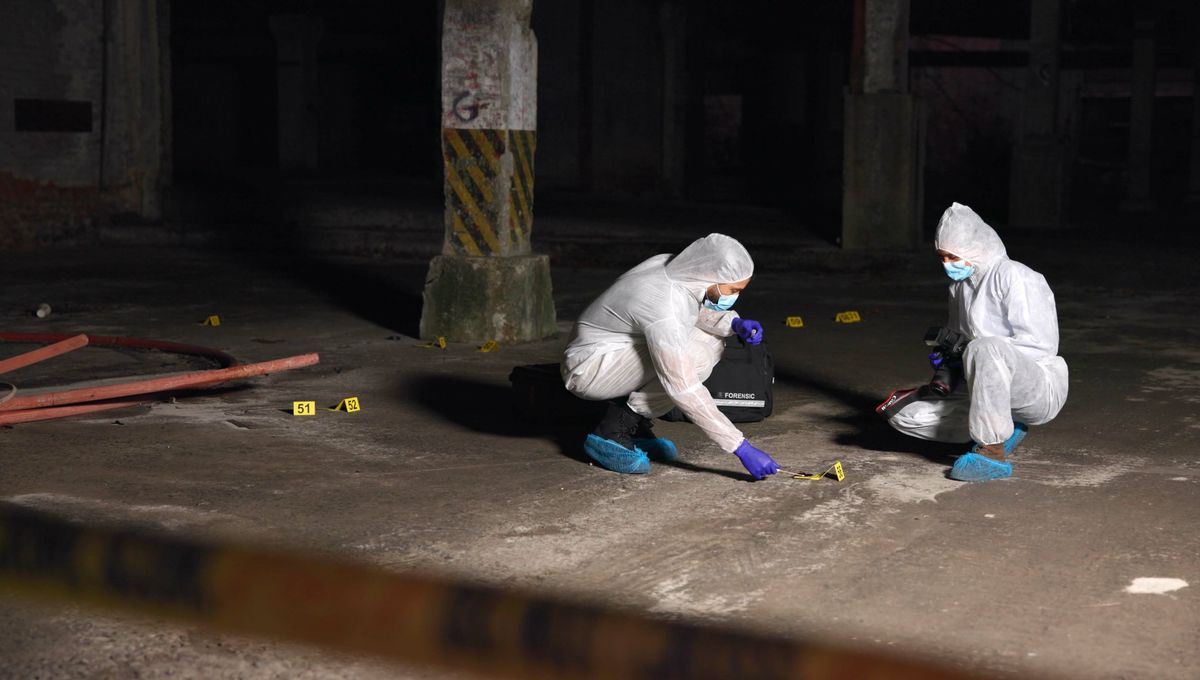 How Forensic Scientists Are Reconstructing Faces Using DNA Found At ...