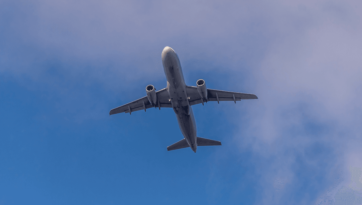 Engineering YouTuber Weighs A Plane Whilst It Is Still Flying | IFLScience