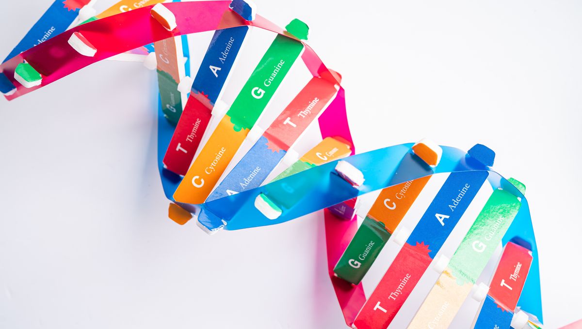 Controversial Synthetic Human Genome Project Begins Work On Making ...