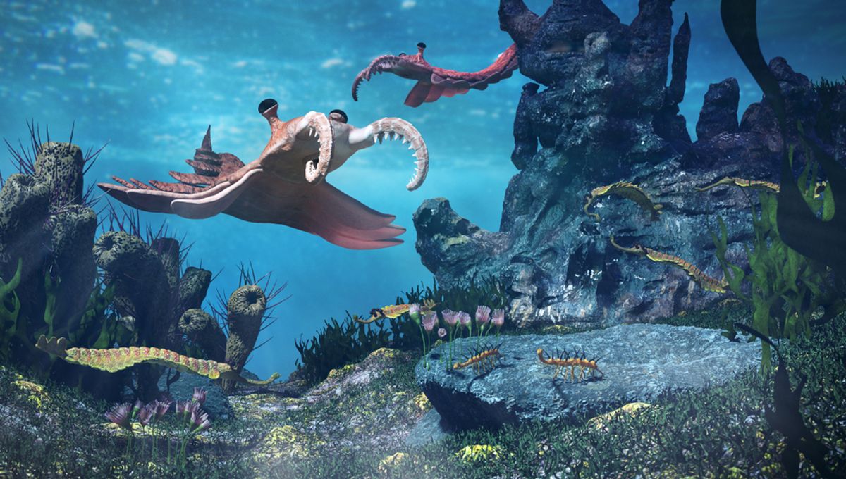 The Cambrian Explosion May Have Actually Happened 15 Million Years ...