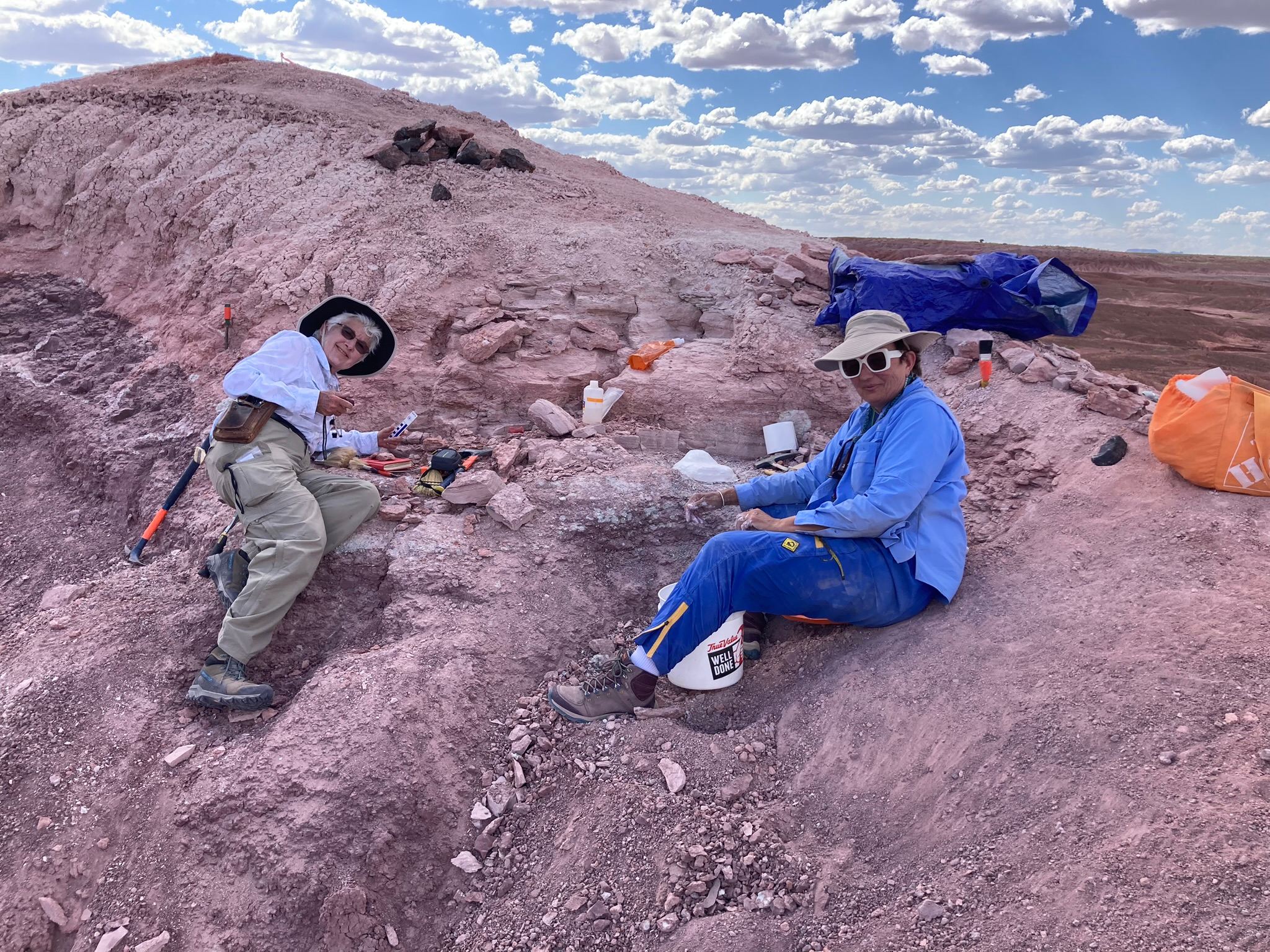 North America’s Newly Discovered Oldest Pterosaur Is A Whopping 209 ...