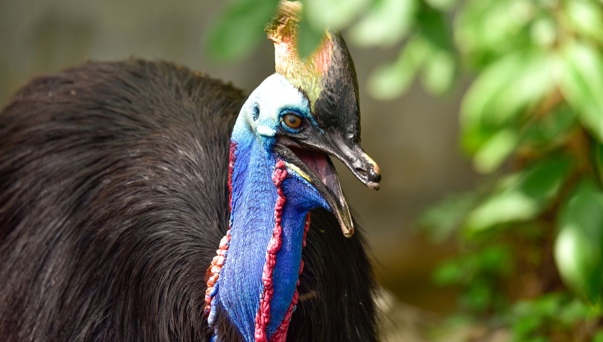 5 Animals That Have Absolutely No Business Jumping (In Our Very Humble ...