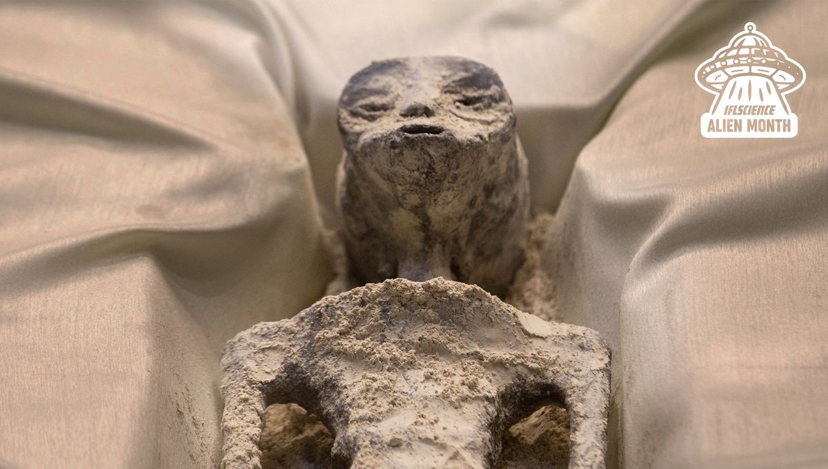 What Astrobiology Might Tell Us About What Aliens May Look Like ...