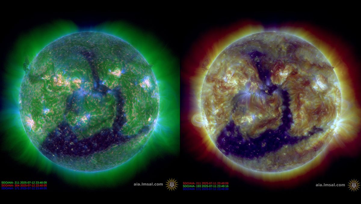 Enormous Coronal Hole And Beast-like Crawling Prominences Dazzle On The Active Sun | IFLScience