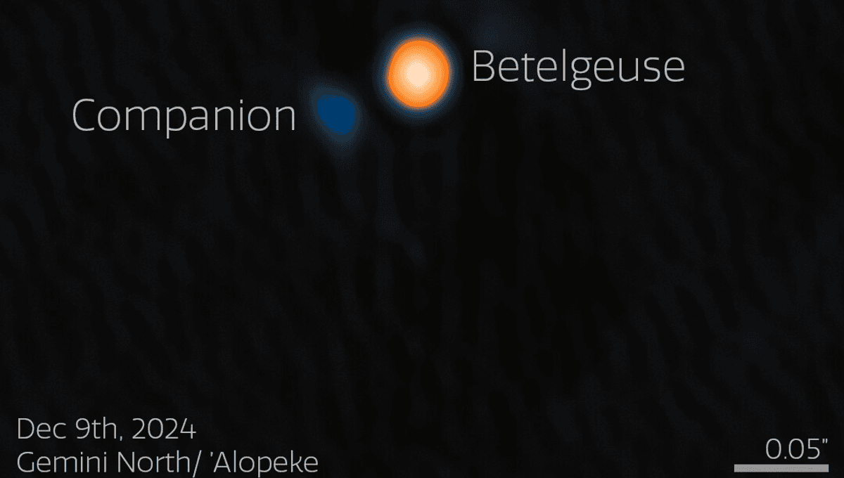 We May Have Finally Found Betelgeuse’s Suspected Companion Star ...