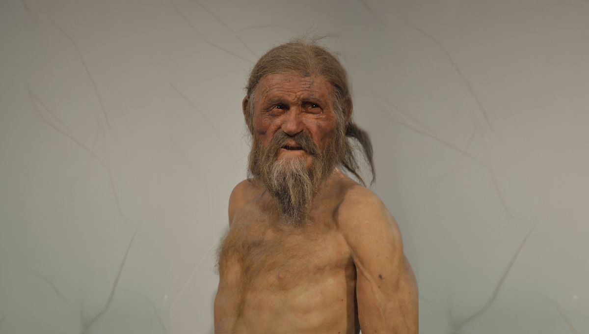 Ötzi The Iceman's DNA Reveals Unknown Lineage, Different From His ...