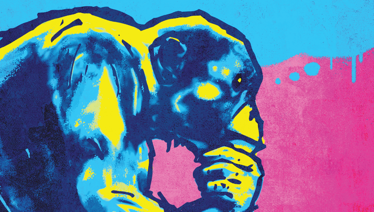 "Intelligence Is A Difficult Concept To Define": Can Animals Think ...