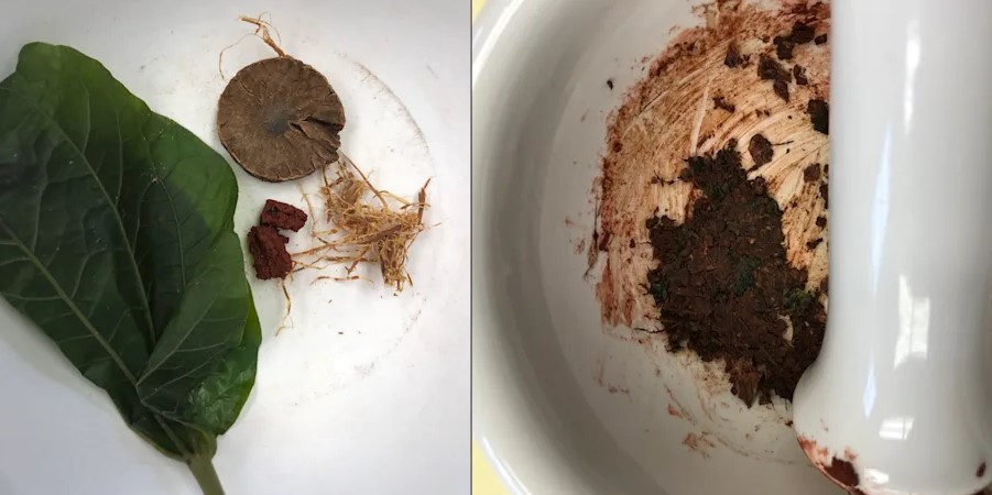 Humans Were Buzzing On Psychoactive Betel Nuts 4,000 Years Ago | IFLScience