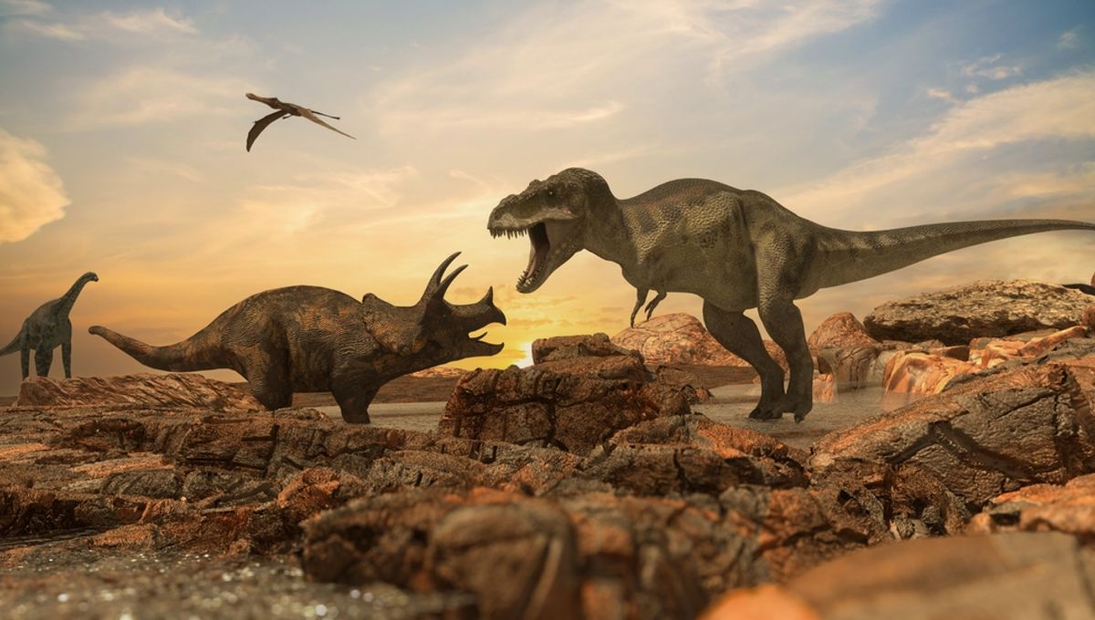 Spinosaurus Went In For Slashing And Ripping Prey, Not Chomping, Skull ...