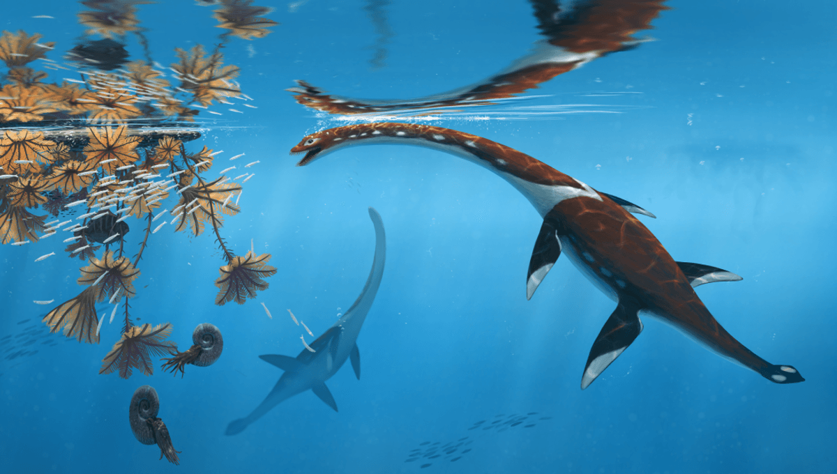 New Plesiosaur Species And Genus Identified From 183-Million-Year-Old ...