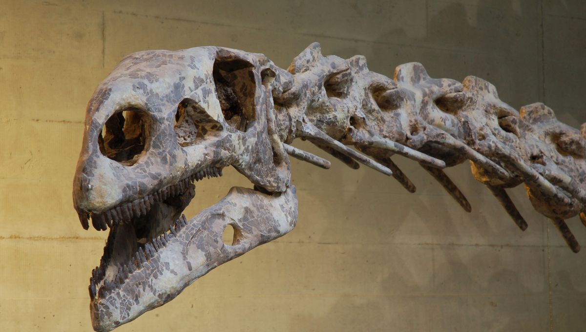 What's The Deepest Dinosaur Fossil Ever Found? | IFLScience