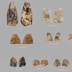Neanderthals Weapons