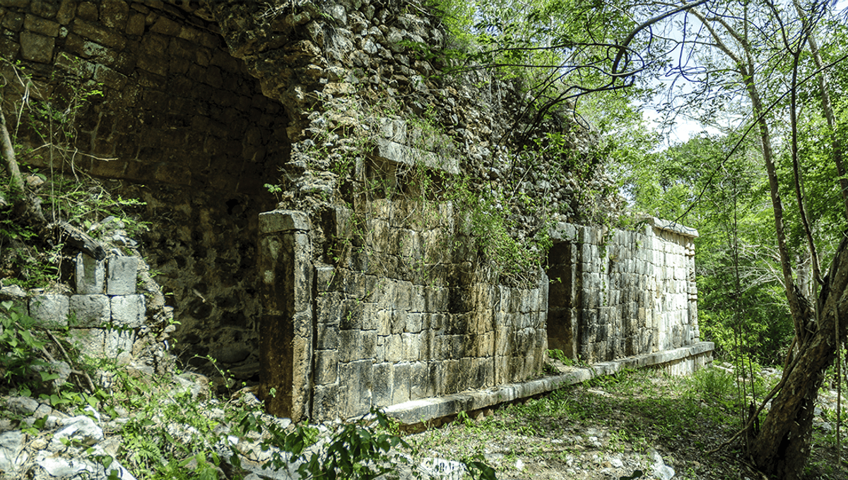 "Land Of The White Jaguar": 327-Year-Old Letter Leads Researchers To Lost Ancient Mayan City ...