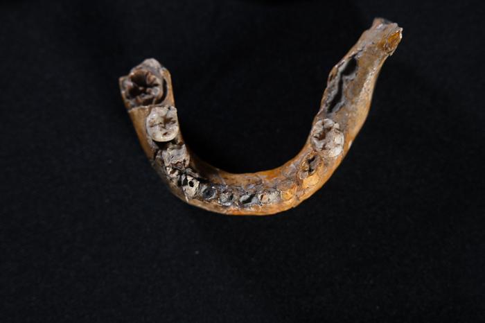 5-Year-Old Child Is Earliest Known Case Of Neanderthal And Homo Sapiens ...