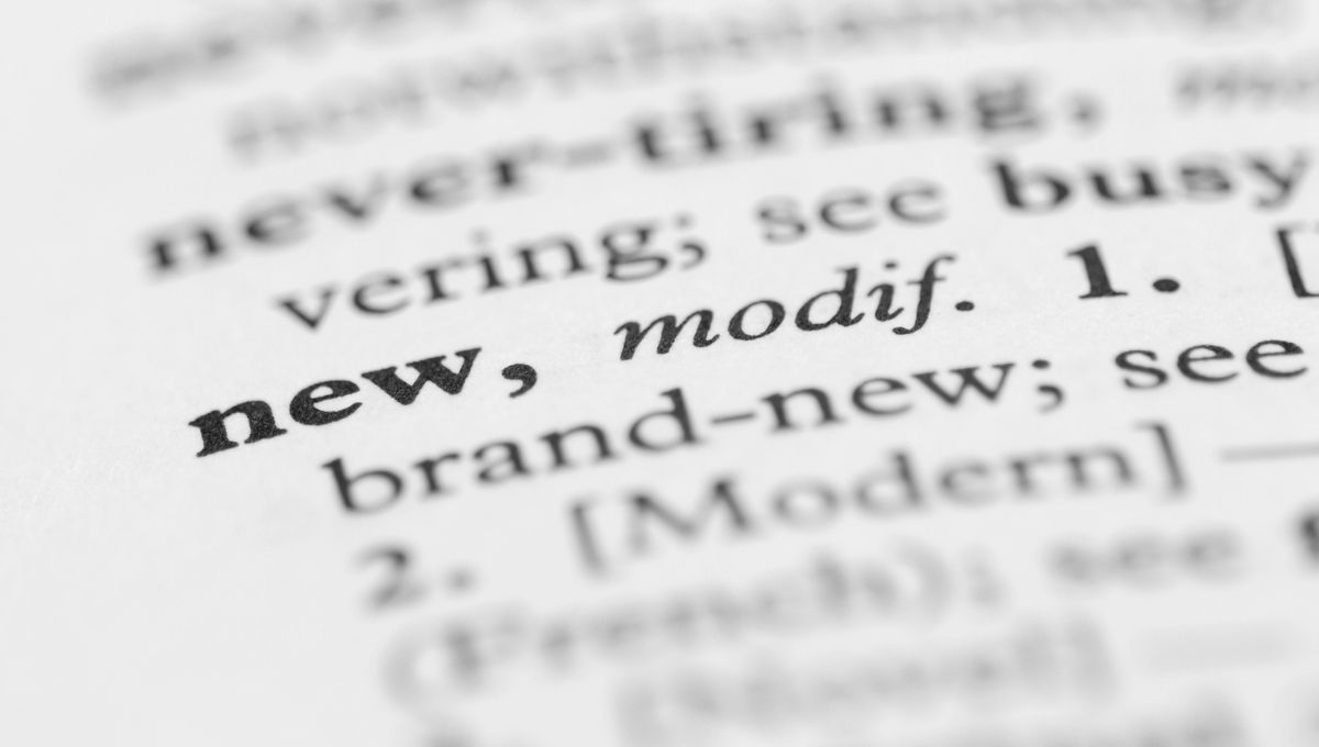 "Skibidi", "Delulu", And "Broligarchy" Among More Than 6,000 New Words Added To Dictionary ...