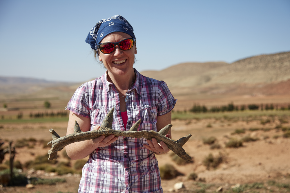 The Oldest Known Ankylosaurs Had “Wacky” 1-Meter Spikes Fused To Their ...