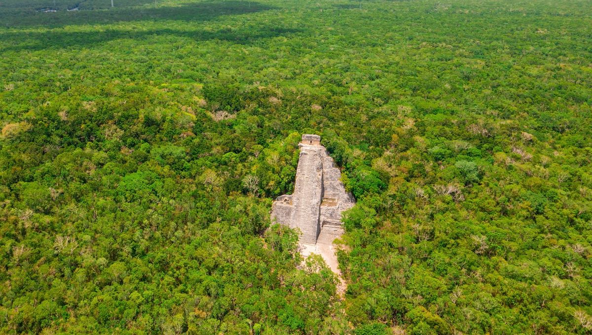 Welcome To Earth’s Newest Nature Reserve: Protection Of The Great Maya ...