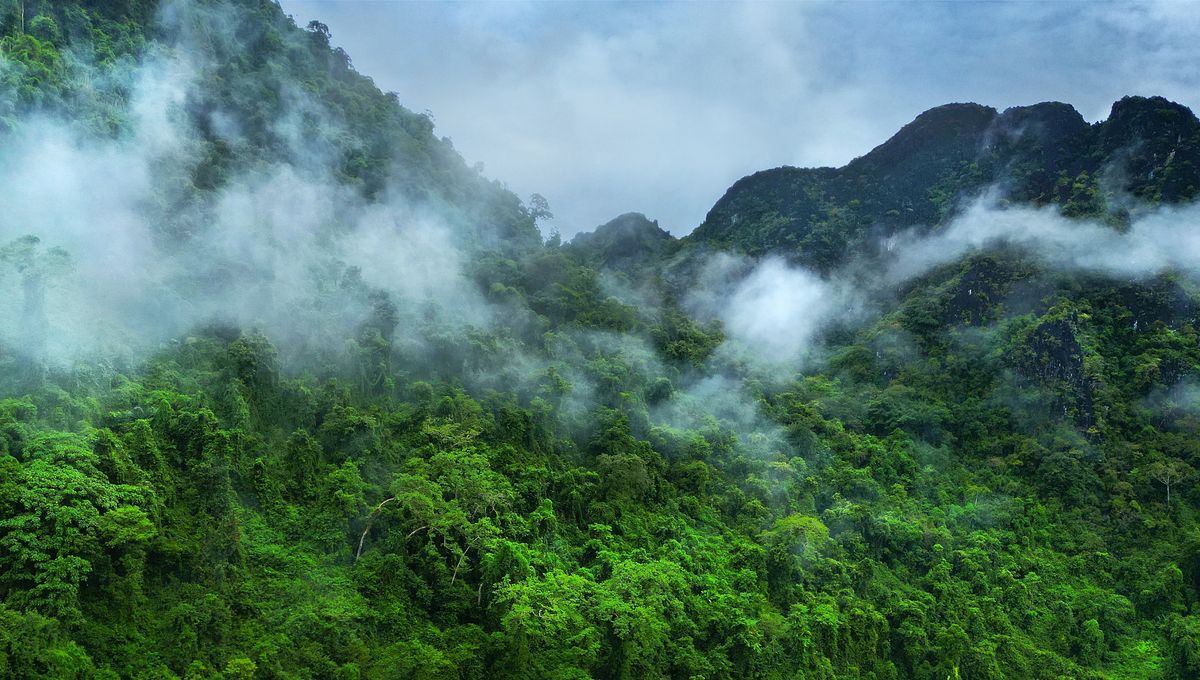 How Outer Space Helps Clouds Form On Earth: IFLScience Visits CERN TO ...