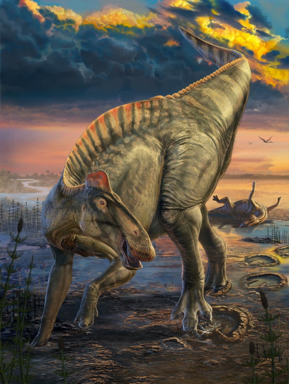 66-Million-Year-Old Dinosaur Mummies Reveal Some Dinosaurs Had Hooves ...