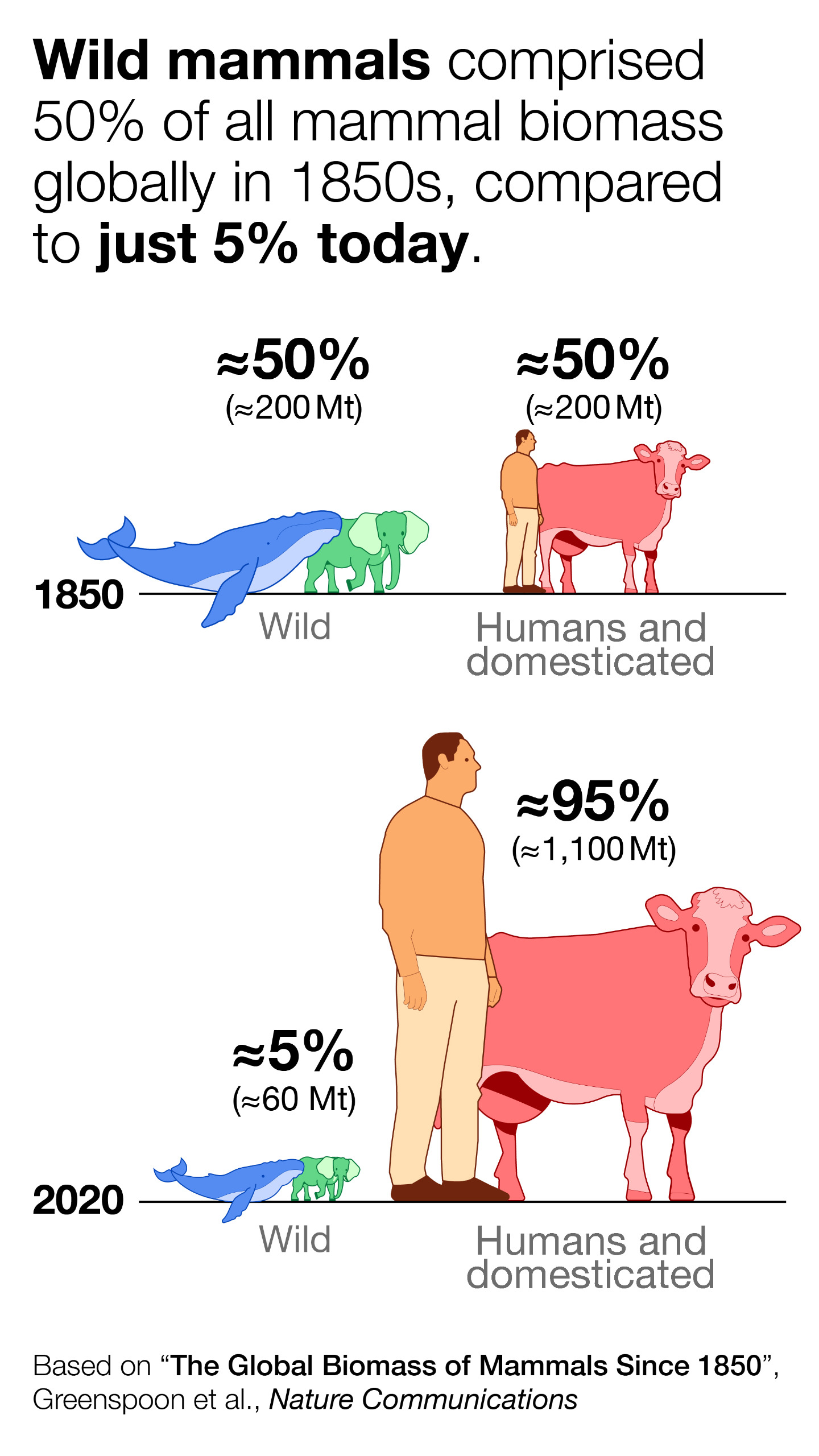 Human Movement Across The Planet Human Movement May Outweigh That Of ...