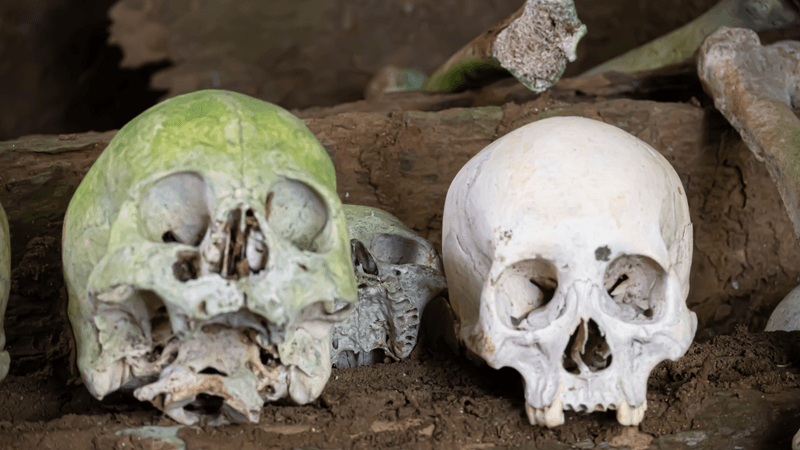 Cadaver Synod: In 897 CE, Pope Formosus's Corpse Had A Very Unusual ...