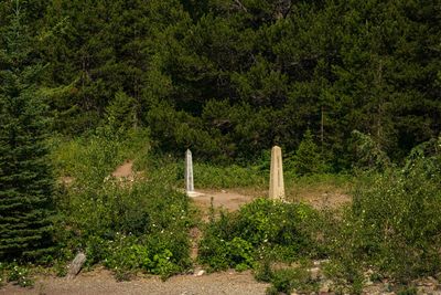 What's The Longest Land Border In The World? | IFLScience