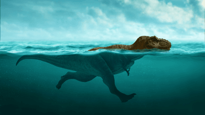 Could T. Rex Swim? 120-Million-Year-Old "Swim Traces" Suggest Yes, But ...