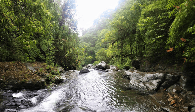 Darién Gap: One Of Planet Earth's Most Inhospitable Frontiers | IFLScience