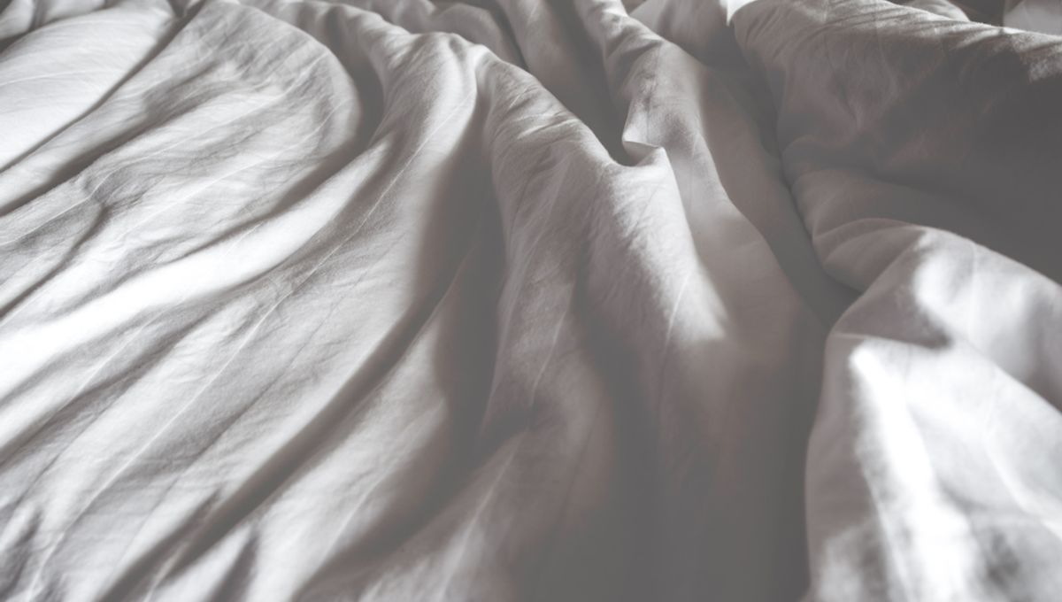 Inside Your Bed’s "Dirty Hidden Biome" And How To Keep Things Clean ...