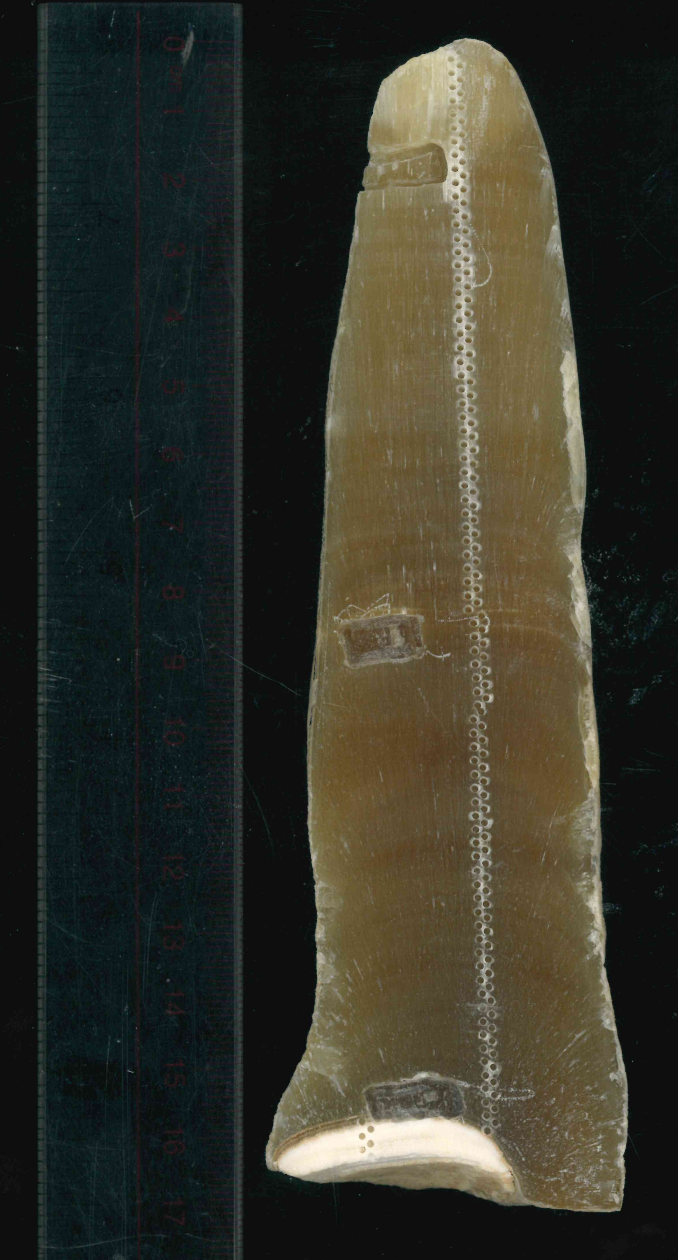 Stalagmite Found In Zagros Mountains Provides An 18,000-Year-Long ...