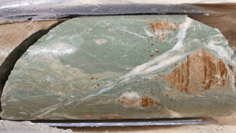 How Does A Rattlesnake Make Its Famous Rattle? | IFLScience