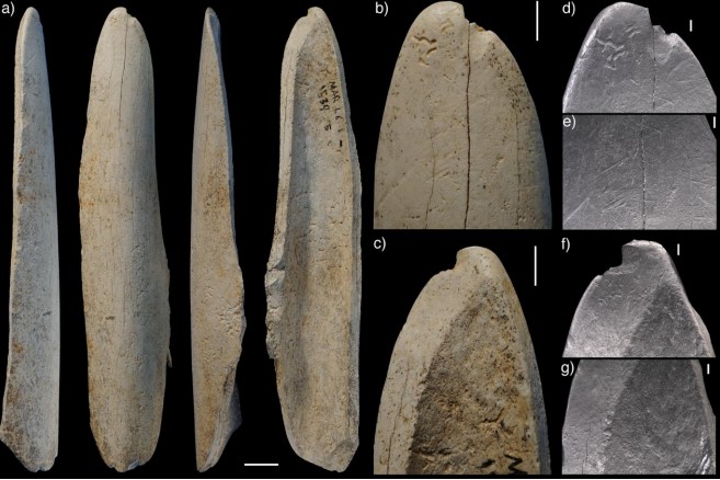 Neanderthals Skinned Animals With Reindeer Bones To Make Leather ...