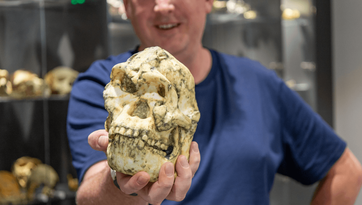 One Of The Most Complete Early Hominin Fossils May Be A New Unknown ...