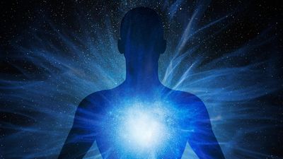How To Make A Human: Carl Sagan Was Right When He Said "We Are All Made ...