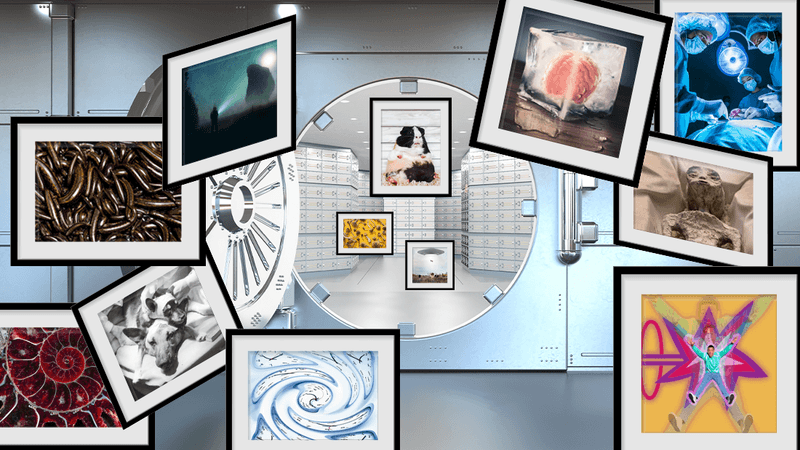 The Most Complete Neanderthal Skeleton Ever Found Still Can't Be ...