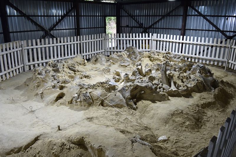 St Bees Man: Who Was The Medieval Mummy Buried In A Lead Coffin ...