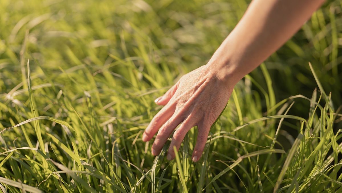 How Many Senses Do Humans Have? | IFLScience