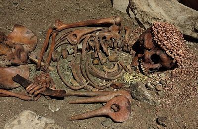 27,000-Year-Old Skeleton Known As The "Prince" Belongs To Teenage Boy ...