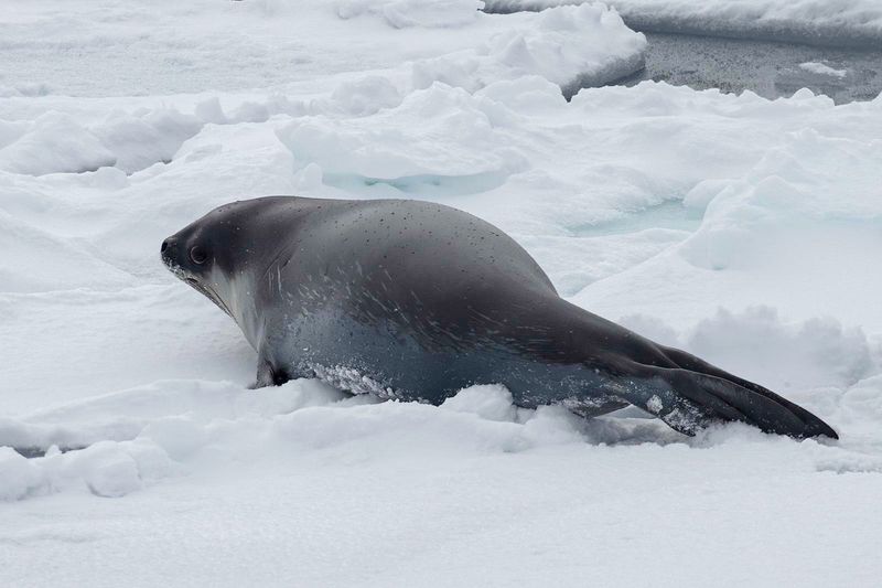 What Would Earth Be Like If It Spun In The Other Direction? | IFLScience