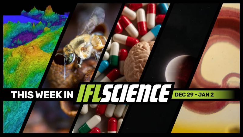 Stabbed, Slashed, And Bleeding: Meet The Medieval “Wound Man” With All ...