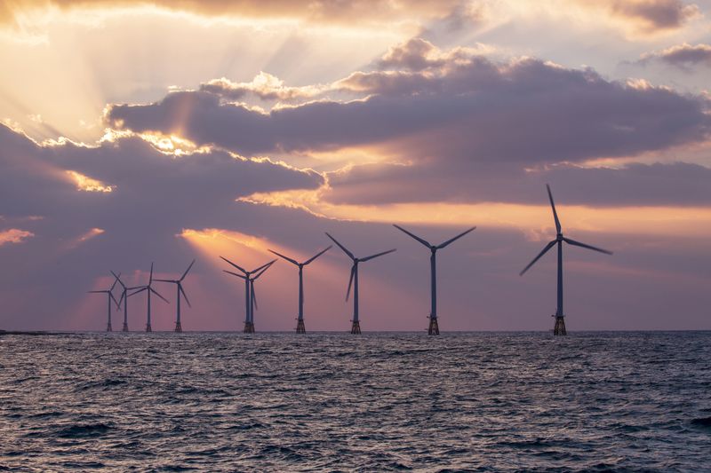 Rare Red Sea Brine Pools Are One Of The Most Extreme Environments On ...